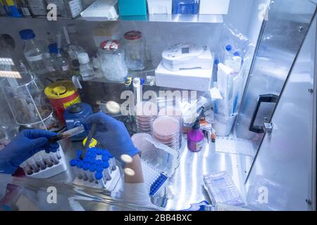 Virus test tube. Testing virus. Viral infection test Stock Photo - Alamy