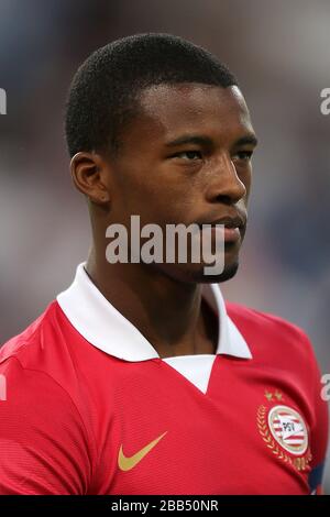 Georginio Wijnaldum, PSV Eindhoven Stock Photo - Alamy