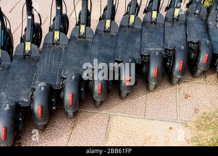 Several black electric scooters parked in a row, for rent. Eco-friendly ...