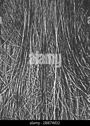 Distress grunge texture with natural human hair. EPS 8 vector ...