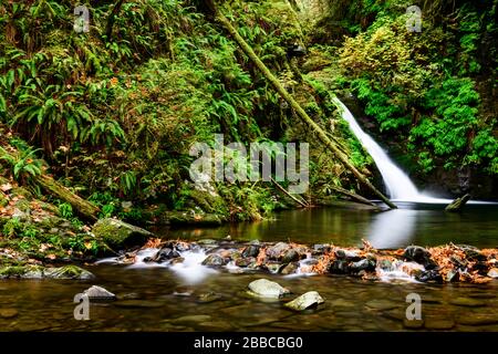 Goldstream Falls - Goldstream Provincial Park; Victoria, Vancouver ...