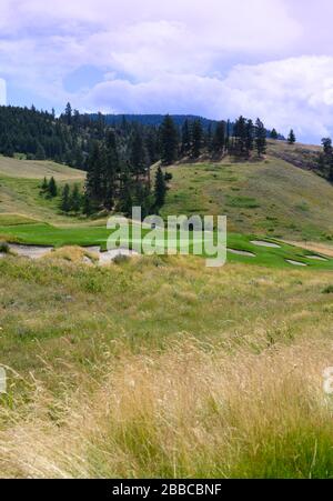 Tower Ranch Golf Club, Kelowna, BC, Canada Stock Photo - Alamy