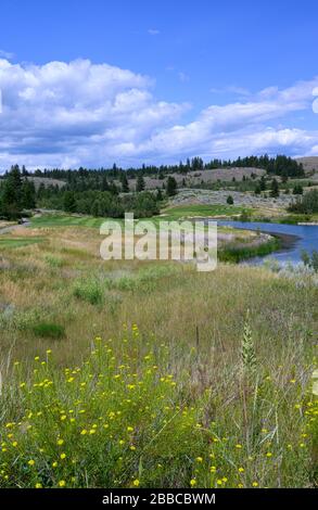The Rise Golf Course, Vernon, BC, Canada Stock Photo - Alamy