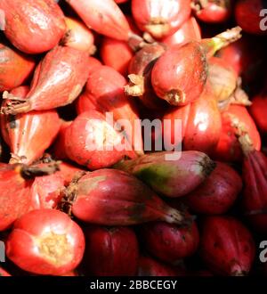Ethiopian cardamom fruits sold at the vibrant Jimma market in Ethiopia ...