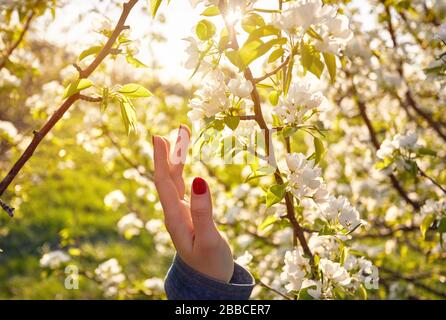 Season, nature and people concept - Woman in autumn park standing with ...