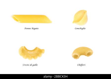 Collection of italian pasta with titles isolated on white background ...