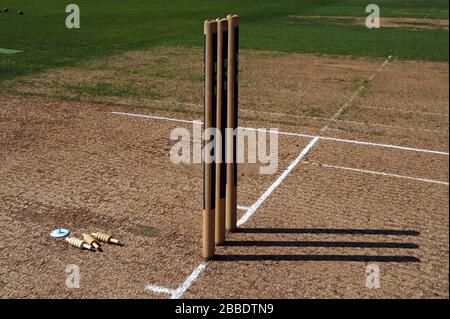 General view of the Stumps and Bails Stock Photo - Alamy