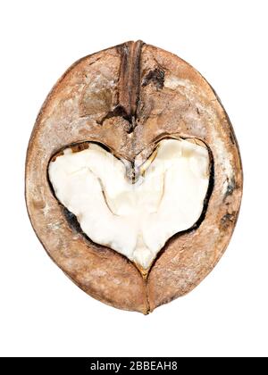 Half of heart shaped walnut in white frame on pink background - Concept ...