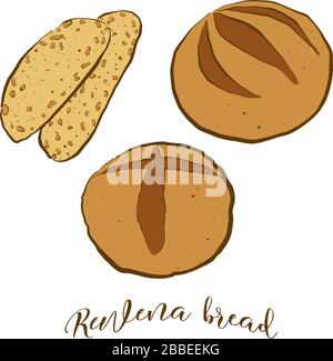 Colored drawing of Sourdough bread bread. Vector illustration of ...