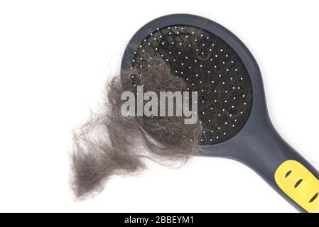 Cat brush with cat hair clump isolated on white, Long hair cat ...