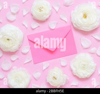 Cream ranunculus flowers and petals on a light pink background top view ...