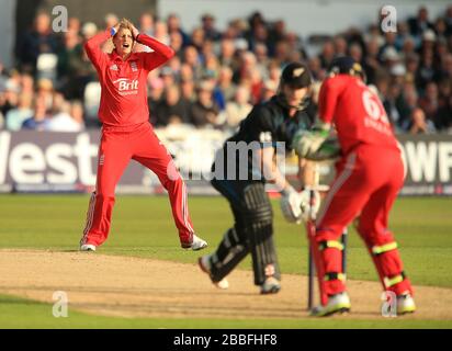 England's Joe Root rues a missed chance of a stumping Stock Photo - Alamy