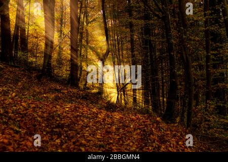 Beautiful autumn landscapes. Amazing sunset on Lake Grindjisee, Swiss ...
