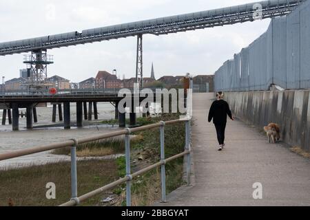 Erith, Kent, UK. 31st Mar, 2020. London, UK. 30th Mar, 2020. Ocado ...
