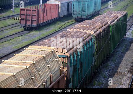 Freight trains on the BAM railway line in the railway sation of ...