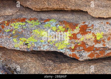 Lichens on Rock, Joshua Tree National Park, Calif. USA Stock Photo - Alamy