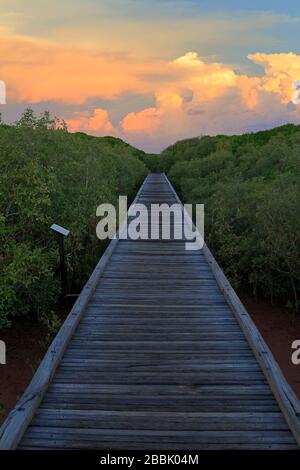 Historic Streeter's Jetty in Broome, North Western Australia built for ...