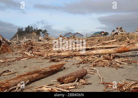 La Push, USA. 21st Feb, 2020. "Welcome Twilight Fans" is the sign on ...