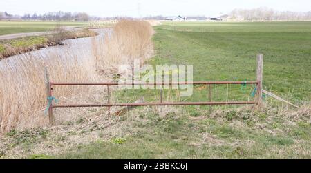 Metal fence and farm gate leading into grassy field, the Netherlands ...