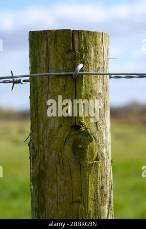 barbed wire in countryside Stock Photo - Alamy
