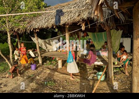 Warao People, Orinoco Delta, Venezuela Stock Photo - Alamy
