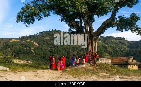 Community meeting under a village tree in Bihar state, India, South ...