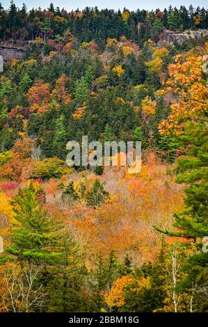 New England forests and woods full of autumn colour Stock Photo - Alamy