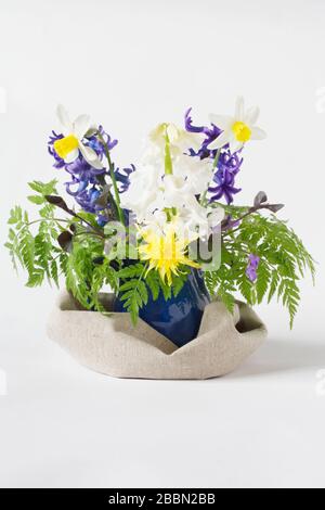Blooming violets in a garden. Selective focus Stock Photo - Alamy