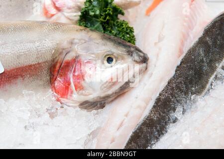 Fresh fish on a UK supermaket counter Stock Photo - Alamy