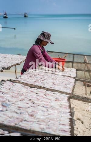Dry fish worker Stock Photo - Alamy