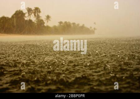 Rain drops on the ocean's surface, from underwater Stock Photo - Alamy