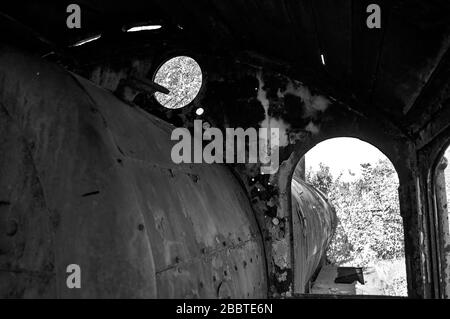 Old dysfunctional railway steam locomotive which is overgrown with ...