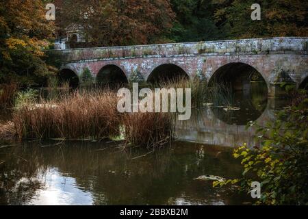 Bridge over the river Stour at Blandford Forum, Dorset, England, Uk ...