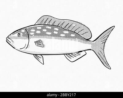 Drawing sketch style illustration of a yellowtail snapper Fish Gulf of ...