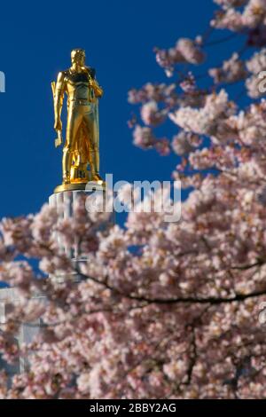 Oregon pioneer statue with cherry blossoms, State Capitol State Park ...
