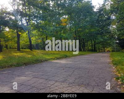 A path through a sparse forest and trees. The path was a walking path ...