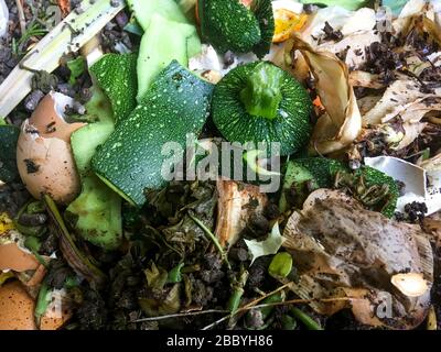 Fruits and vegetables decaying in a compost container, Lyon, France ...