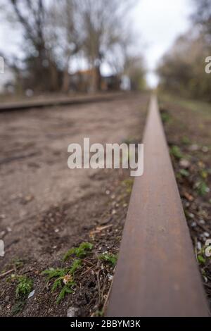 Train track in denmark. closeup rust on the tracks Stock Photo - Alamy