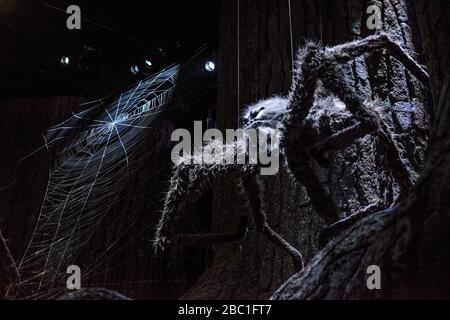 Aragog, Giant Spider, Harry Potter Studios, the Making of Harry Potter ...