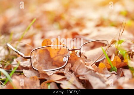 Glasses on autumn foliage. Autumn vision loss concept. Vitamin ...