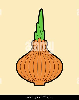 Cartoon spring onion isolated illustration Stock Vector Image & Art - Alamy