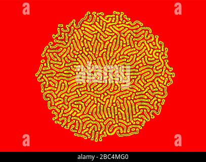 Vector illustration of a Staphylococcus Aureus bacteria in cartoon ...