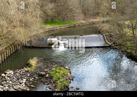 The rock ramp on the river Almond at Howden bridge, Livingston. The new ...