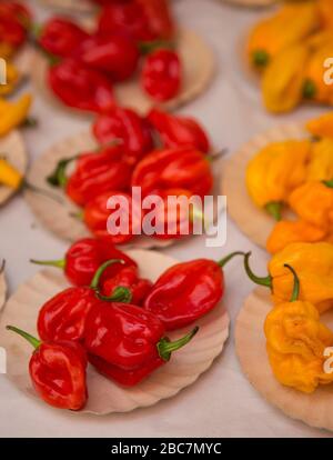 Chilli peppers in a street market in Manila in the Philippines in ...