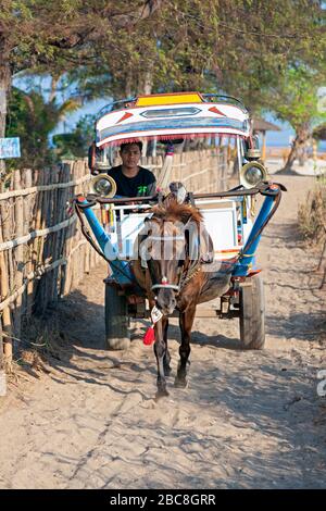 Cidomo, a horse and cart on Gili Trawangan, Gili Islands, Indonesia ...