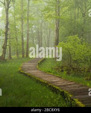 Europe, Germany, Bavaria, UNESCO Biosphere Reserve Rhön, Bavarian Rhön ...