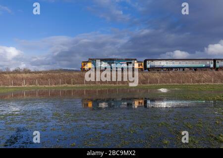 Class 37 diesel locomotive 37401 Mary Queen of Scots in large logo ...