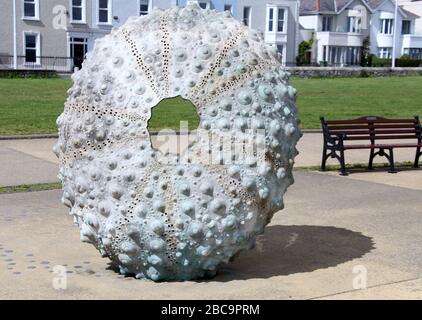 Mothership by Rachel Joynt on the seafront at Newtownsmith in County ...