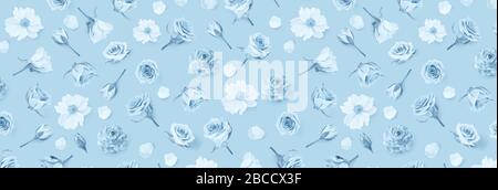 Border made with white chamomile flowers on yellow background. Concept ...