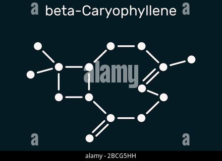 Caryophyllene, beta-Caryophyllene, C15H24 molecule. It is natural ...